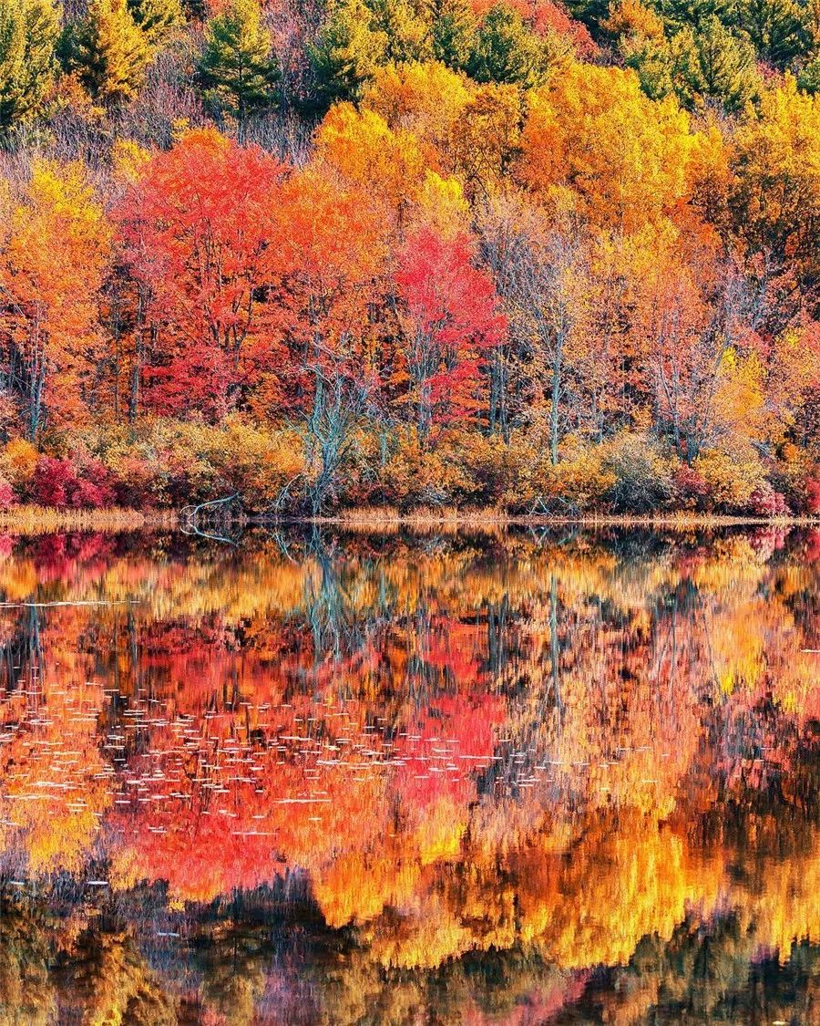 Autumn shadows are like poetry, autumn colors are picturesque - iNEWS