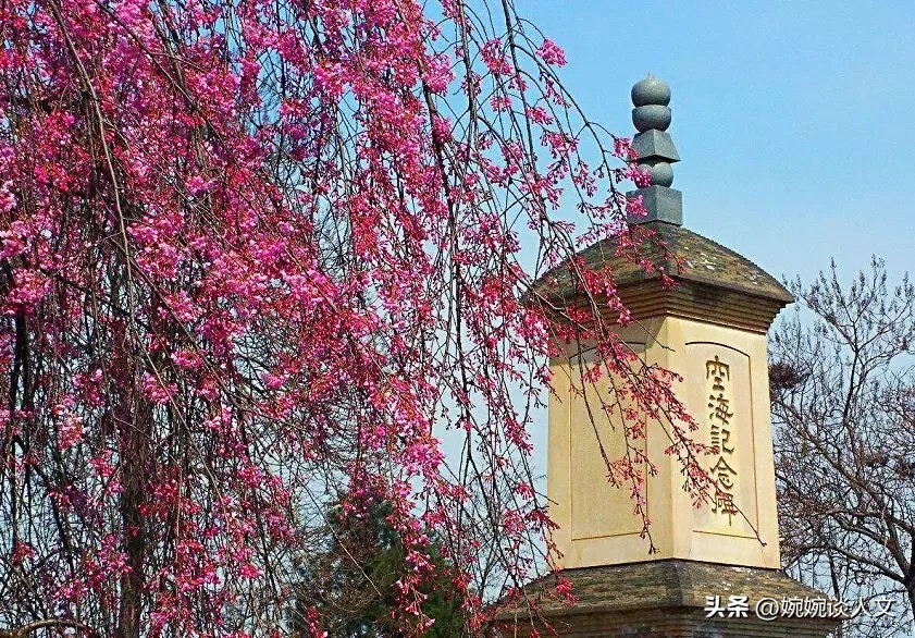 Pilgrimage from Cherry Blossom Country, the most beautiful cherry ...