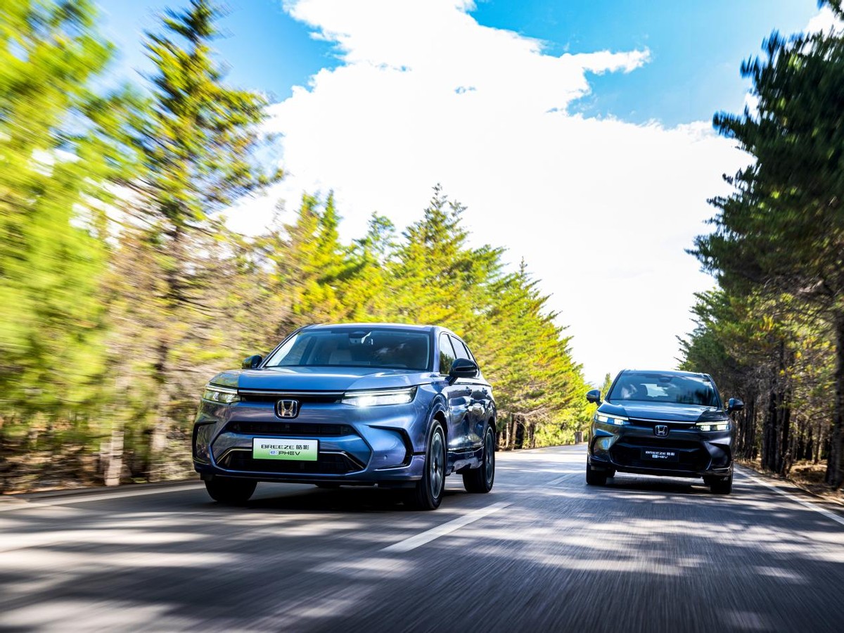 Selling point: Absolute price advantage + originator of electric drive ...