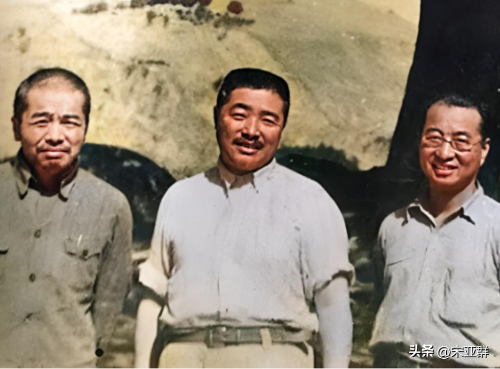 The mystery of the number of the four major field armies: Lin Luo has ...