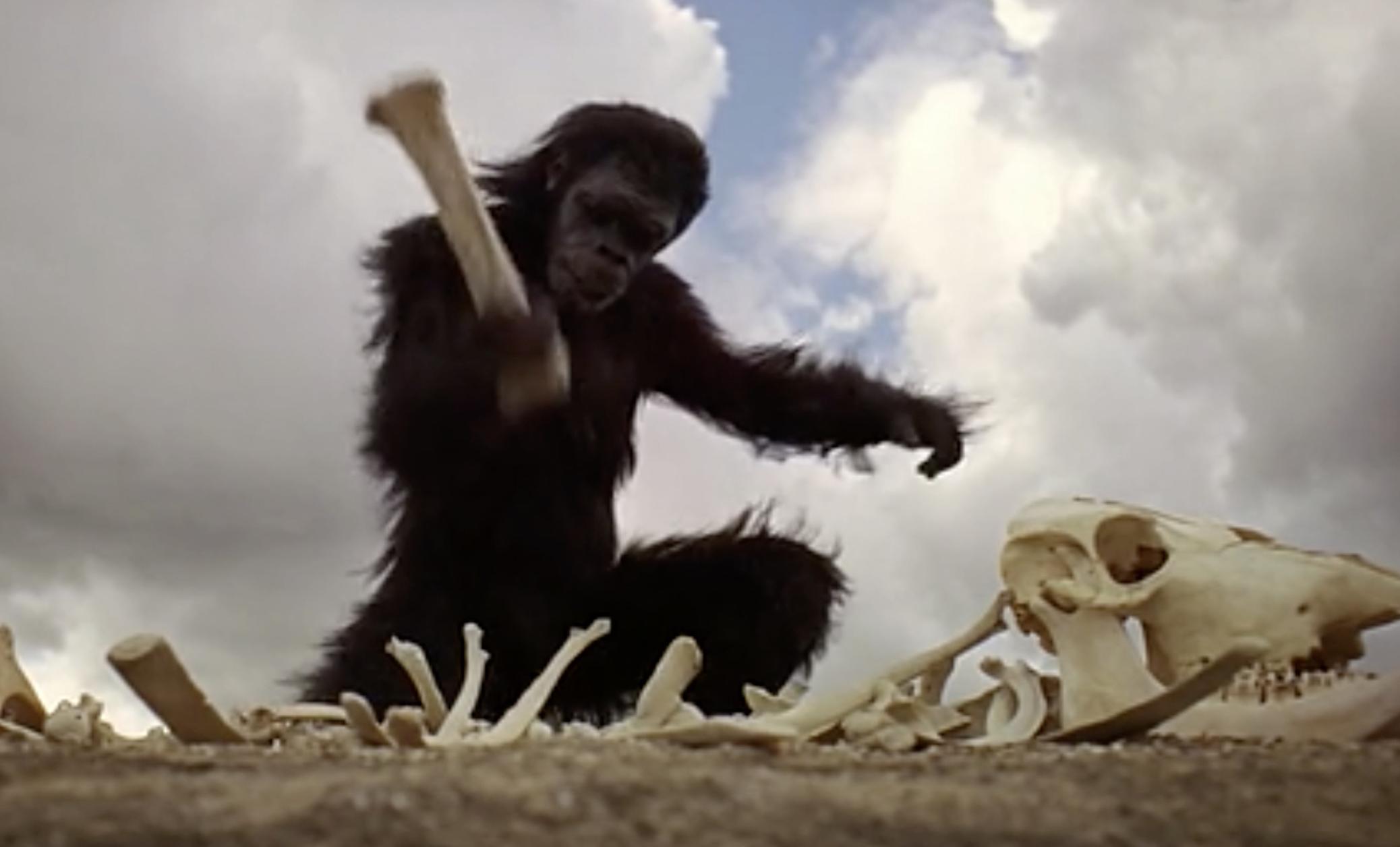 Where do humans come from? - iNEWS