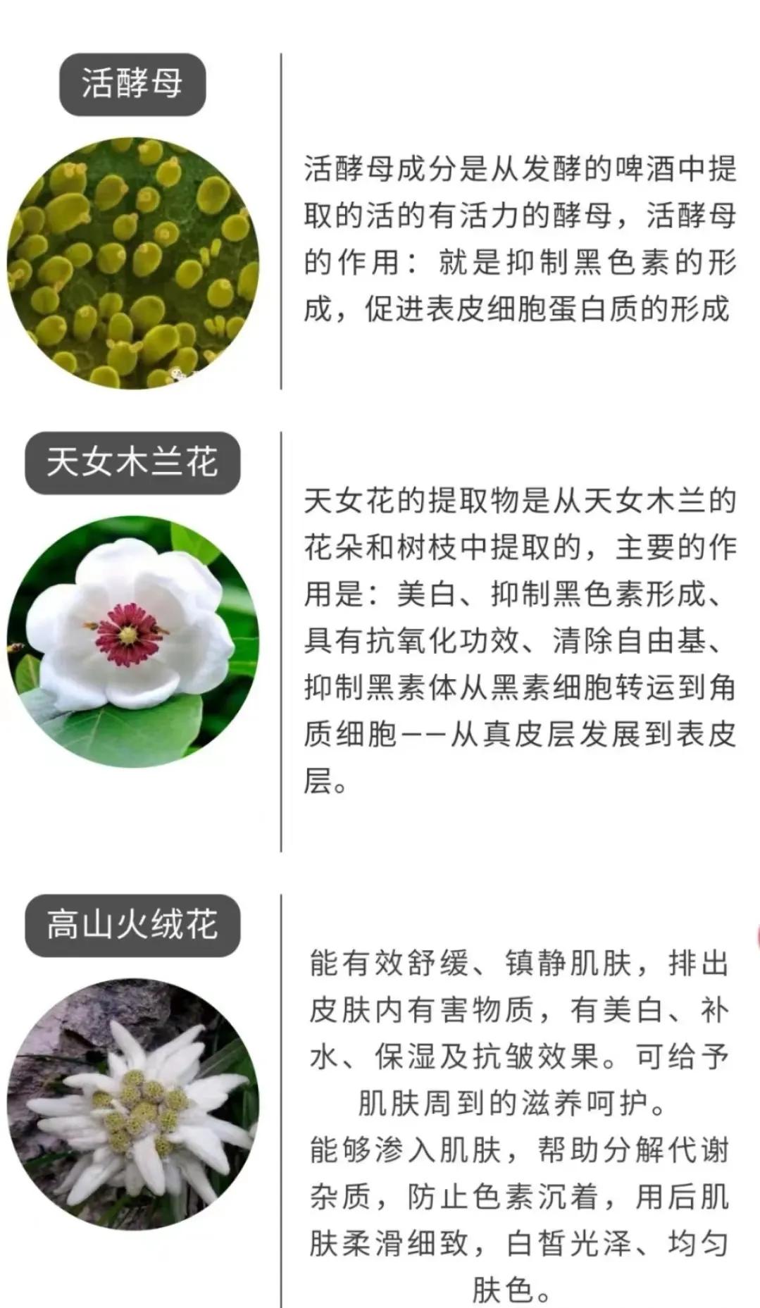 The principle and active ingredients of whitening and lightening, how ...