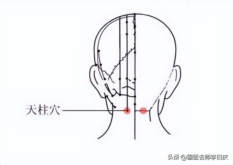 Pressing these acupoints often can invigorate the kidneys and ...