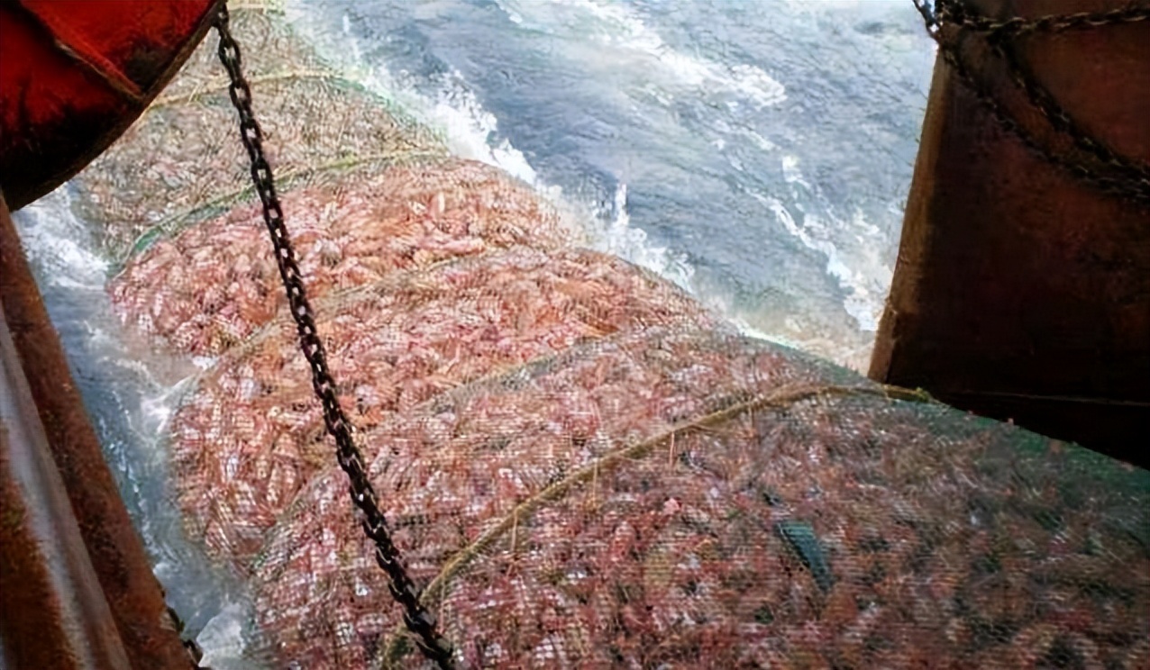 The world's largest fishing boat can catch thousands of tons at a time ...