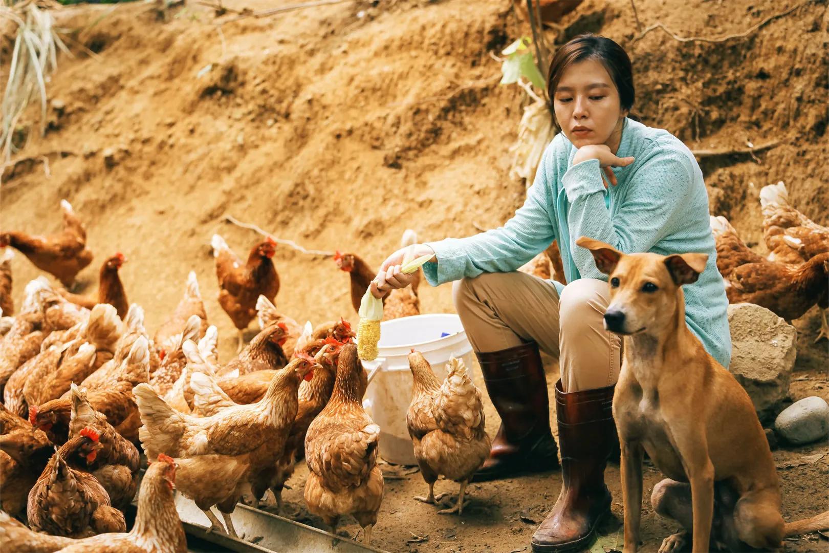 Liu Pinyan incarnates the new movie "Sally" as a farmer who raises ...