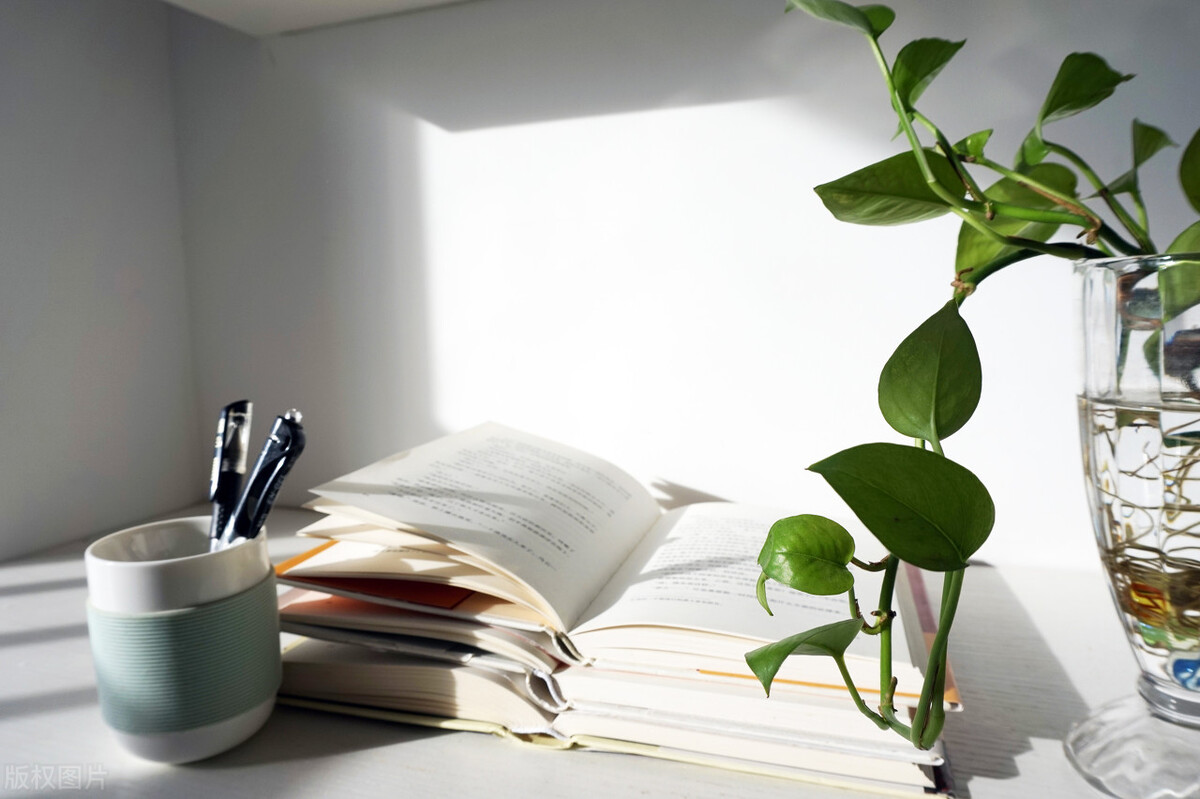 The Complete Guide to Writing: Be a good reader before you can be a ...