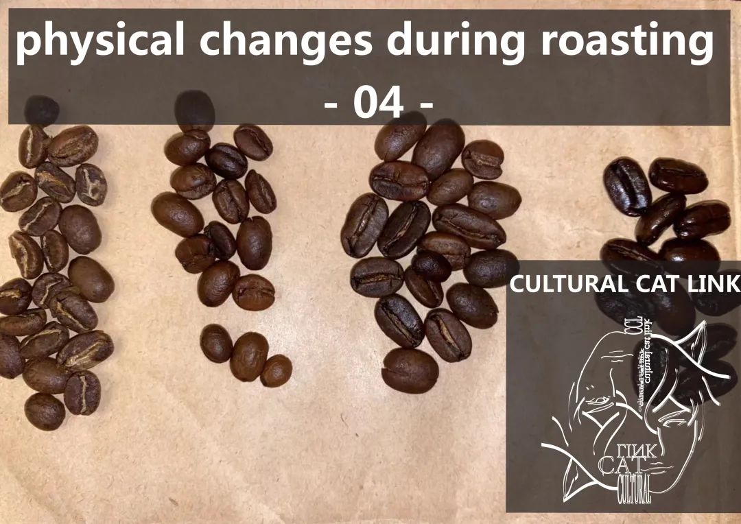 The Mystery of Mung Bean: The Mission of a Coffee Bean② - iNEWS