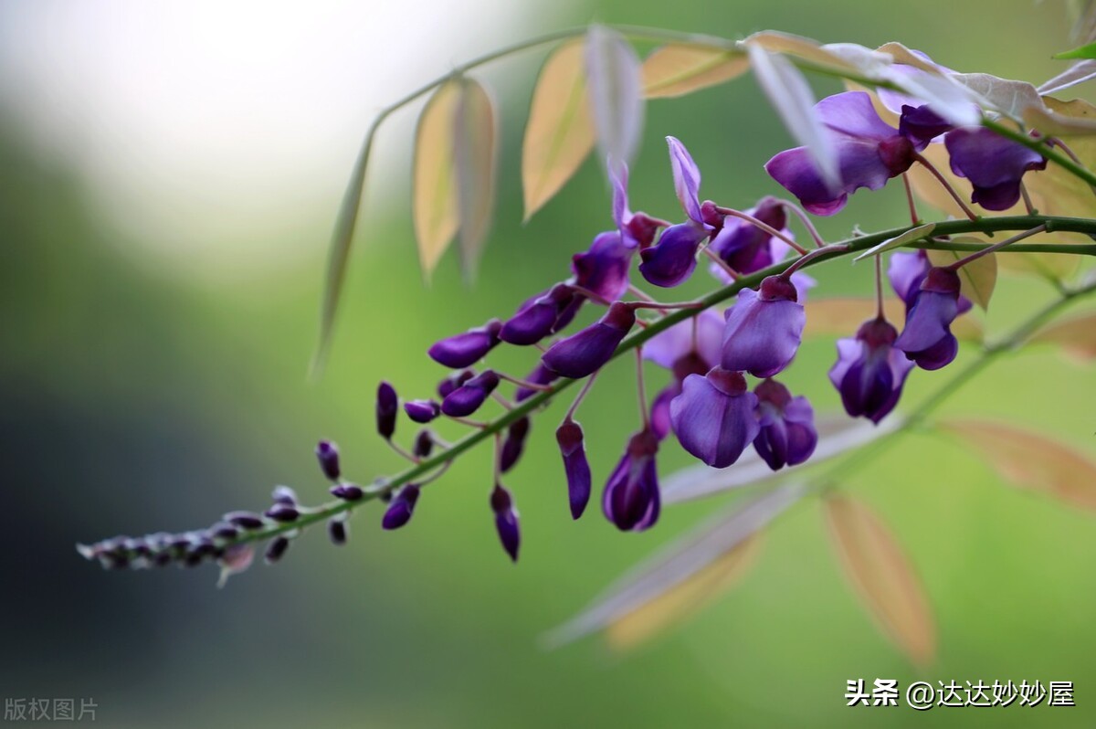 Lonely and helpless in their later years, without support, they are ...