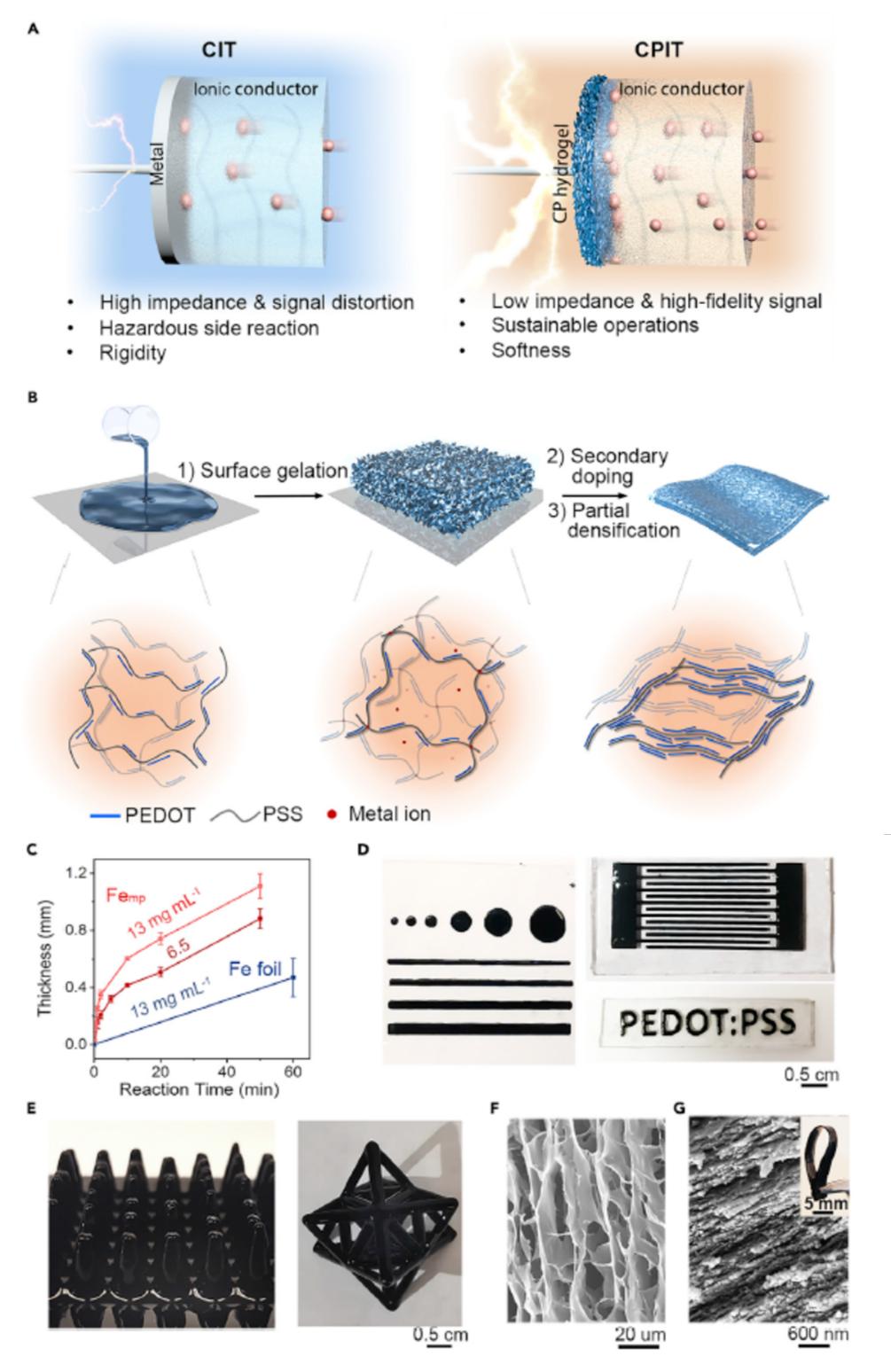 "Matter" Ultra-strong, highly conductive and capacitive hydrogel ...