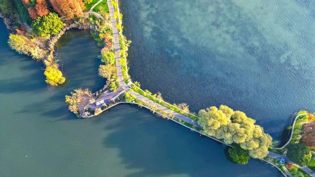 Wang Weihua: Watching the Sea at Wuhan East Lake - iNEWS