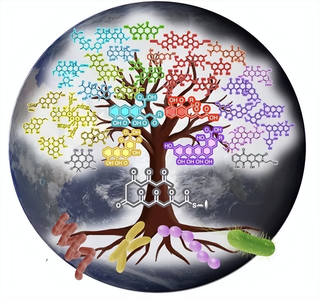 The first panorama of aromatic polyketone comes out - iNEWS