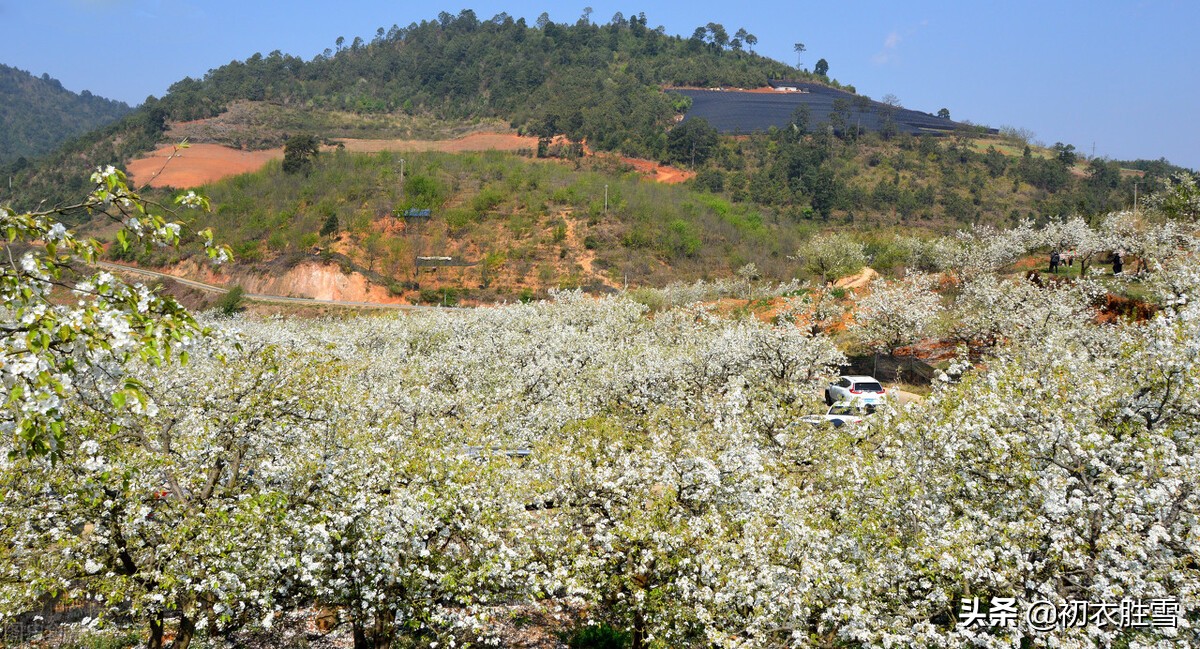 Bai Juyi's six songs on the Cold Food Festival, a glass of cold food ...