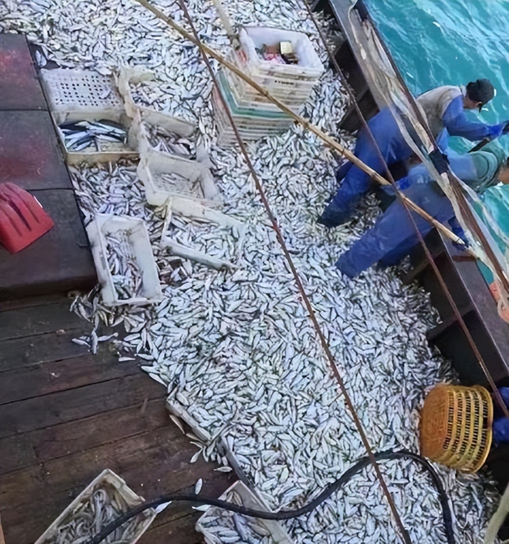 Fishing is a holy place where fish are easy to catch. The fishermen ...