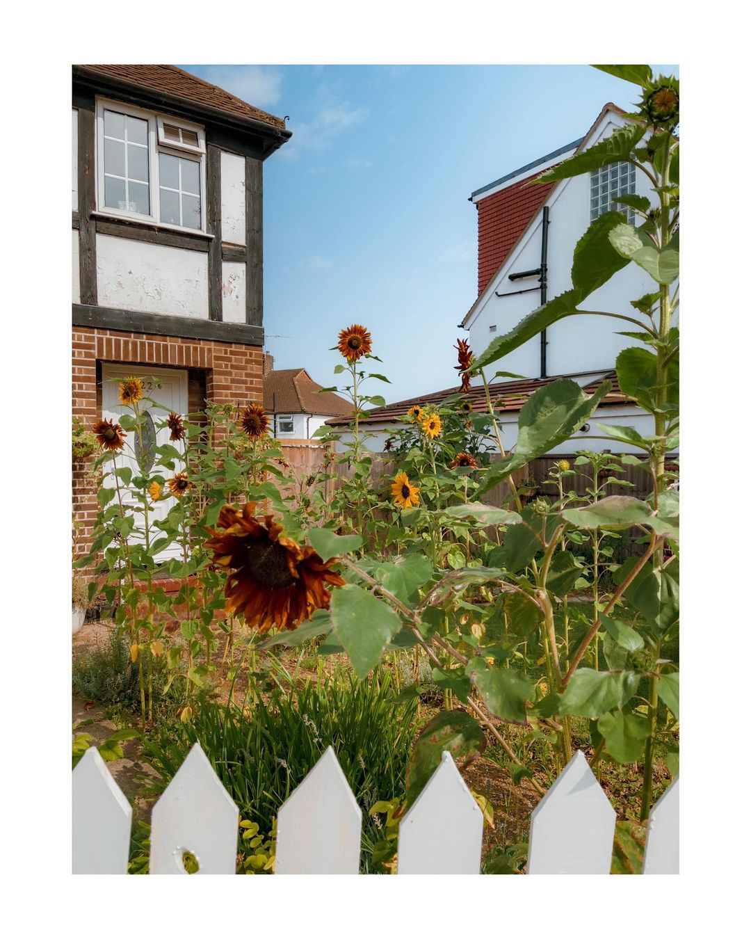 British photographer Josh Edgoose street shot works (5) - iNEWS