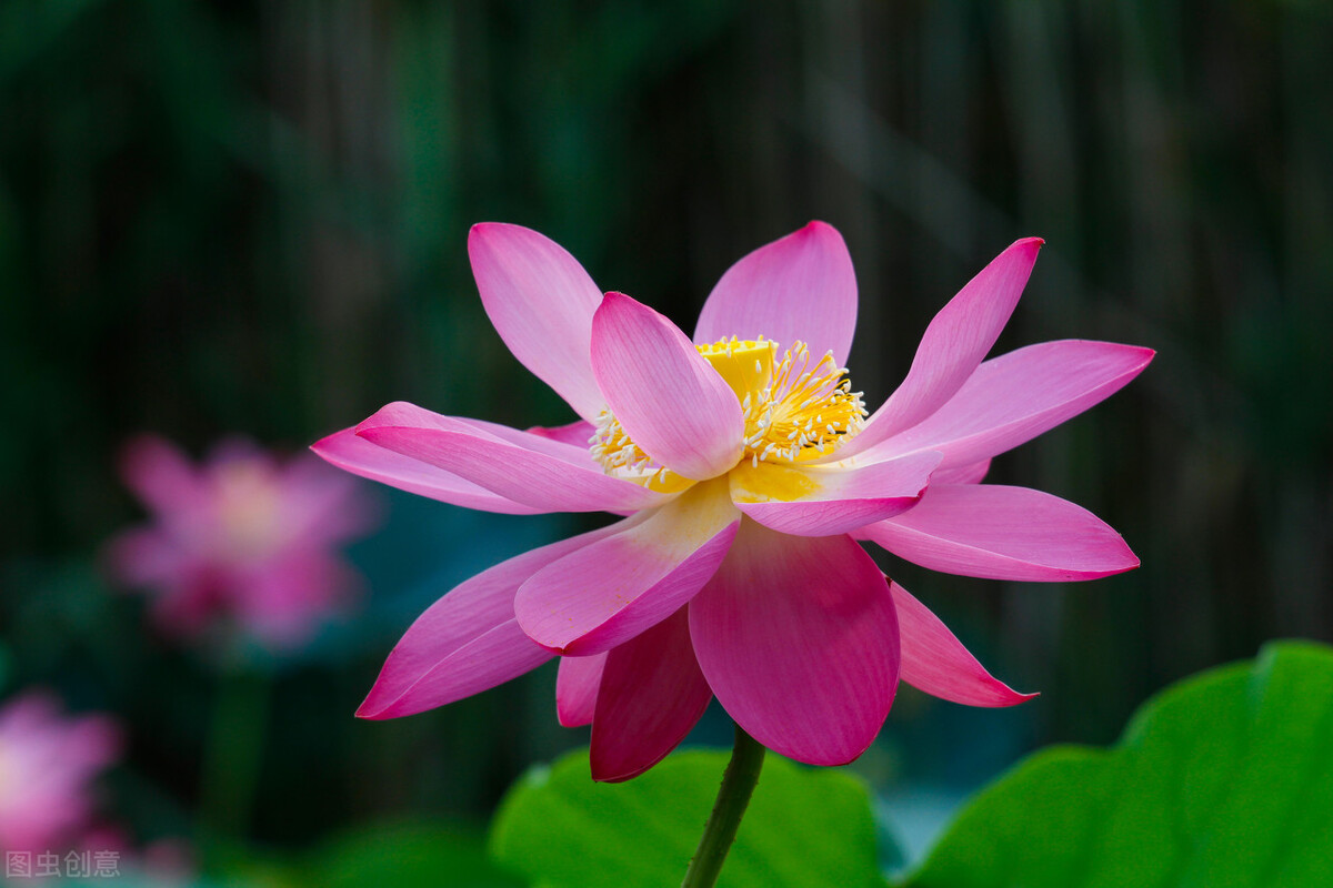 Fourteen Uncommon and Amazing Poems - iNEWS