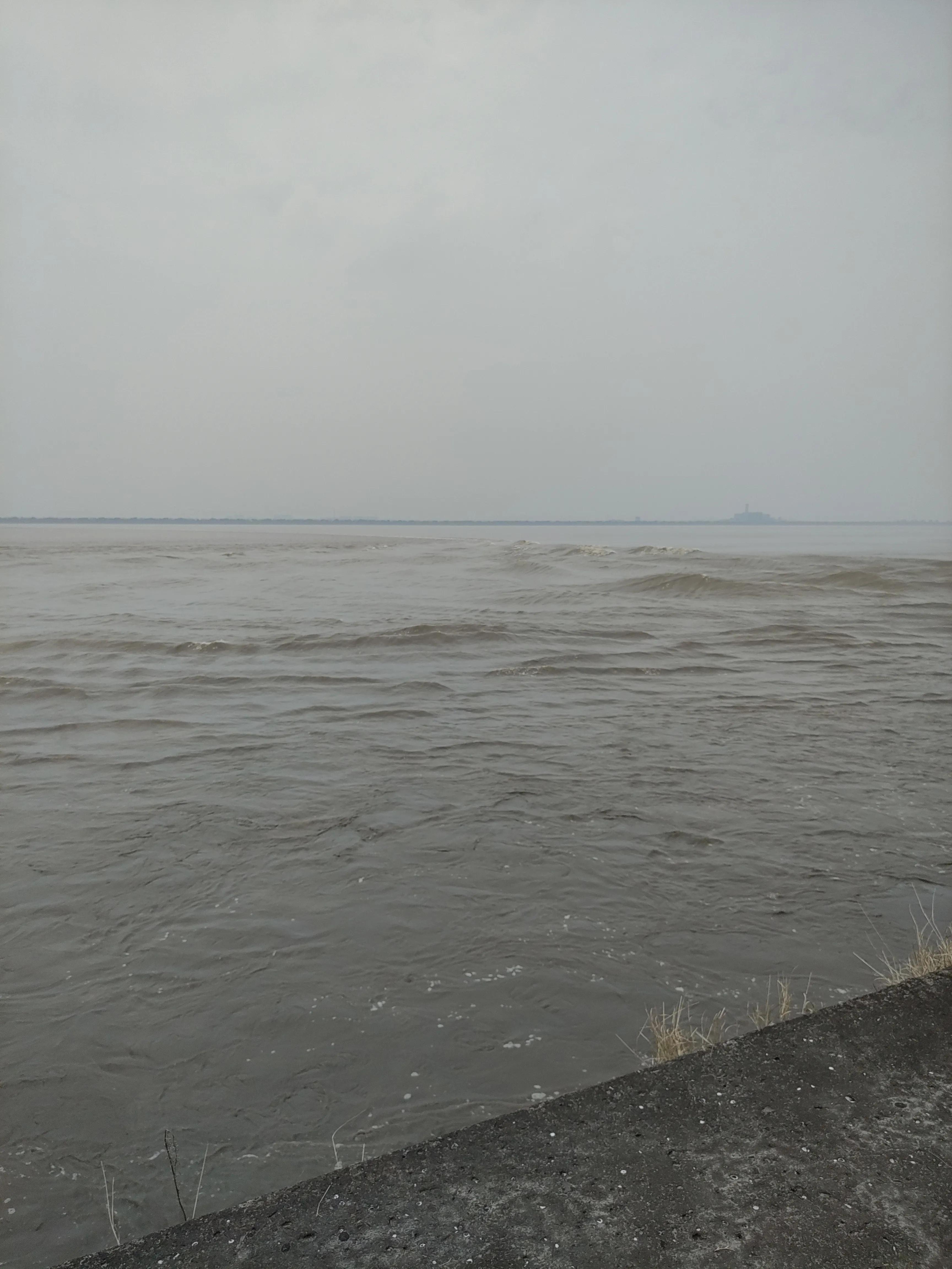 The tide-watching experience is like a thorn in the throat, reminding ...