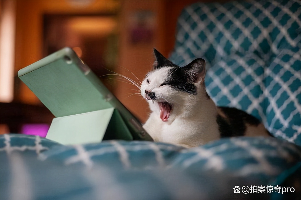 Researchers find the most boring person in the world - iMedia