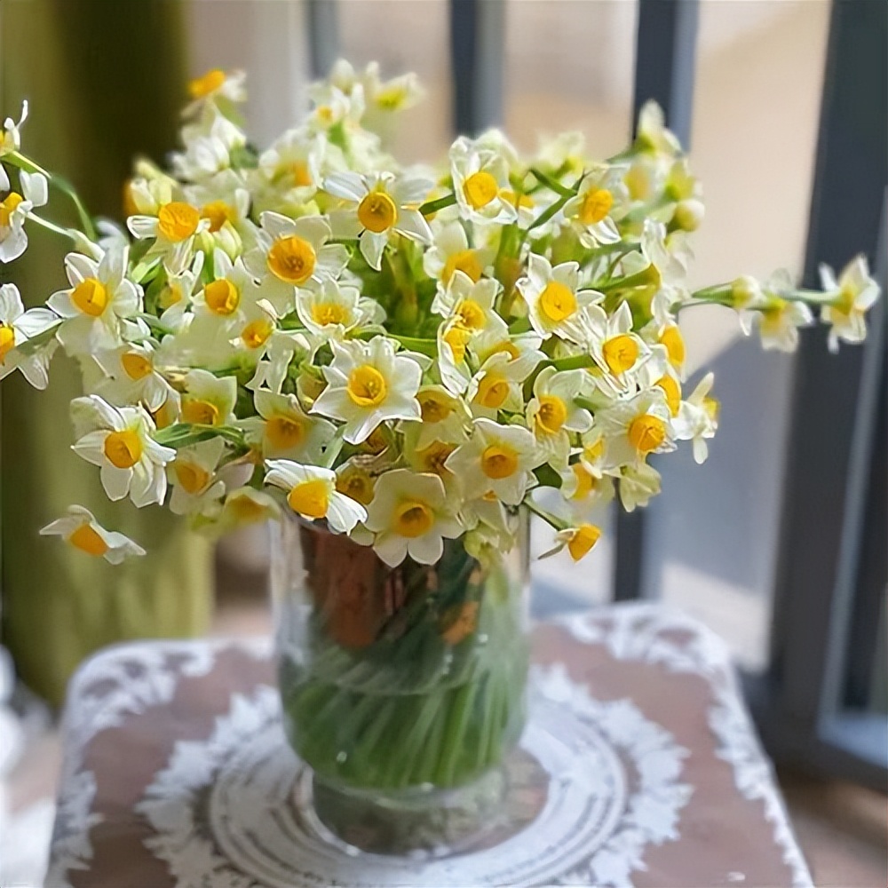 5 kinds of "vase partner" flowers, insert a dead branch, and the pot ...