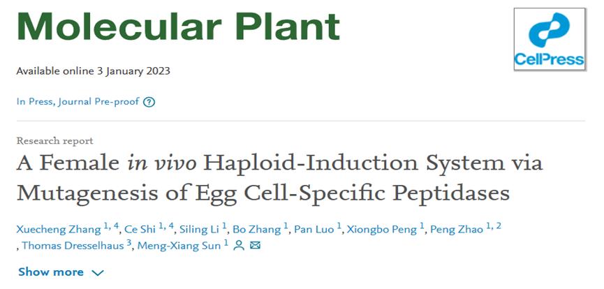 "Mol Plant"Sun Mengxiang's group from Wuhan University discovered a new ...