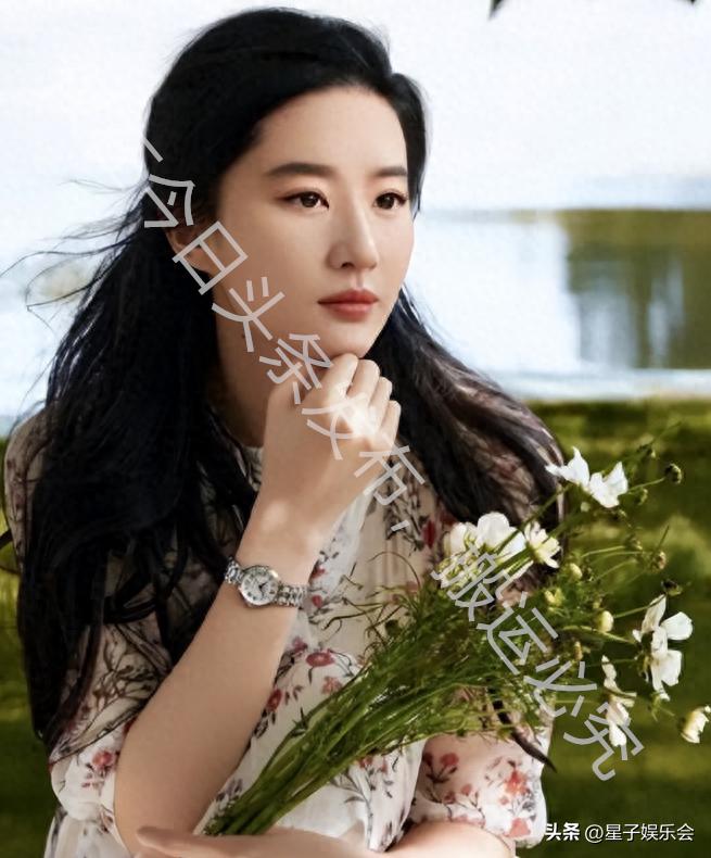 The 35-year-old Liu Yifei still has "dirty information" and is still unable to escape from her ...