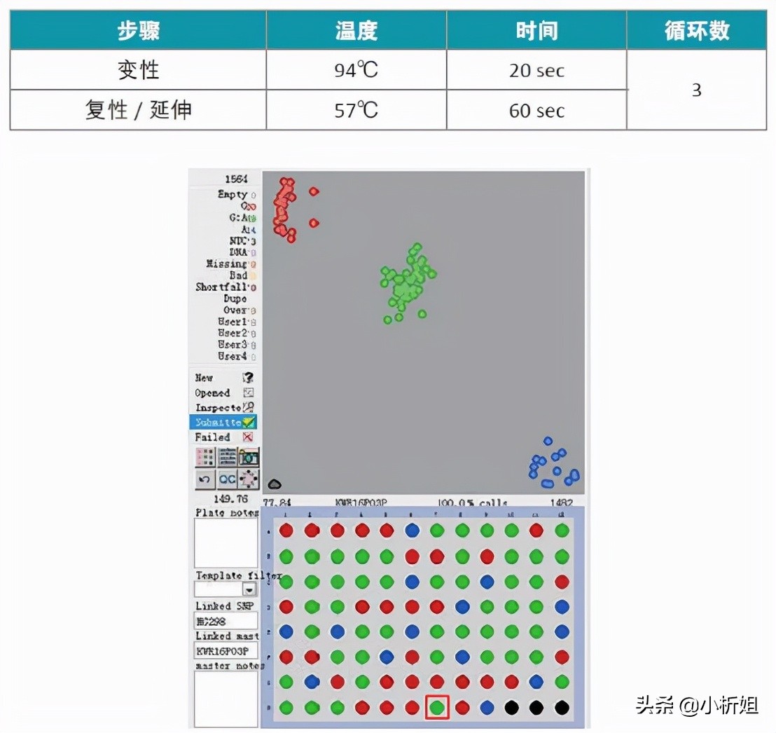 Three minutes to understand the KASP genotyping technology experiment ...