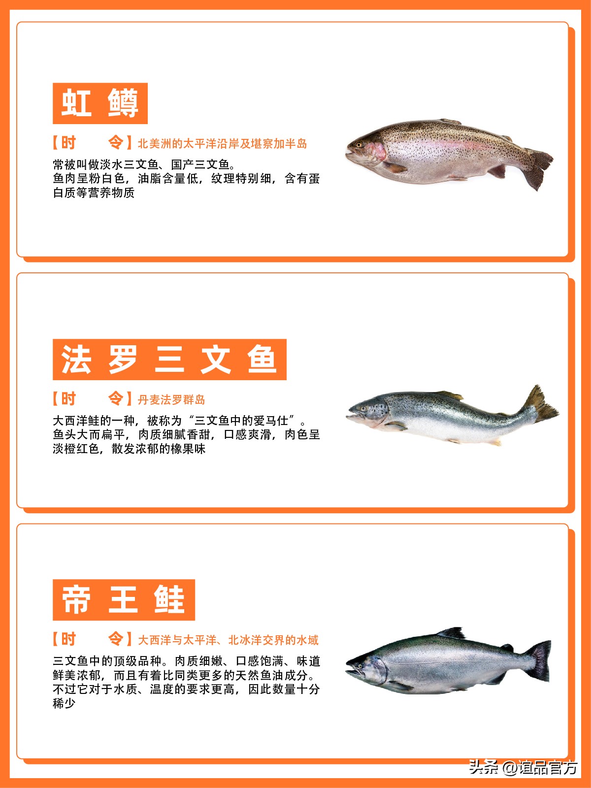 Types and taste of common salmon - iNEWS
