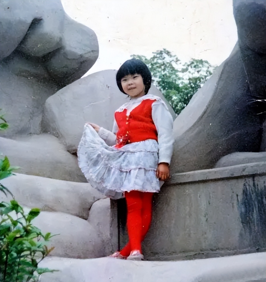 Badminton Olympic champion Li Xuerui: There are pain and tears behind ...