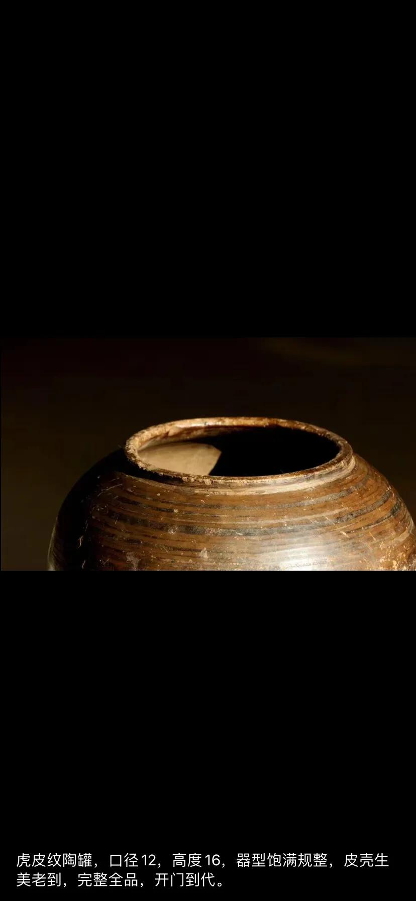 Tiger skin pattern clay pot - iMedia