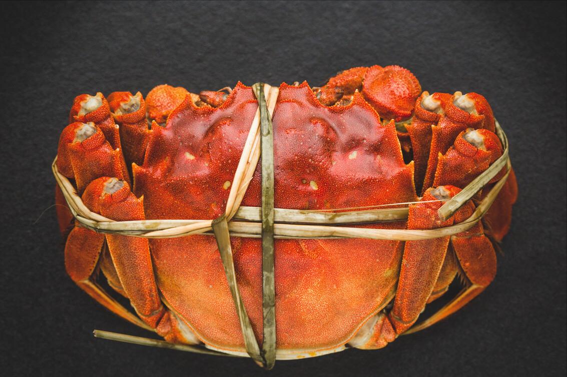 The identification pictures of 12 kinds of crabs, let you know ...