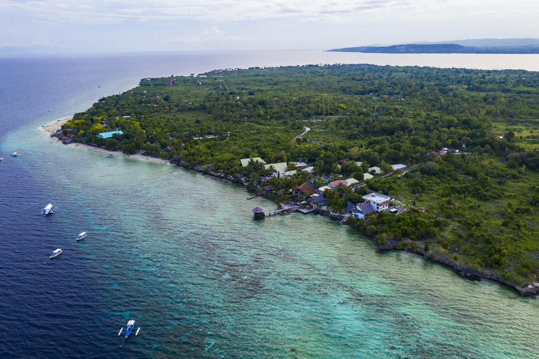 Japanese military aircraft participated in NATO exercises with high ...