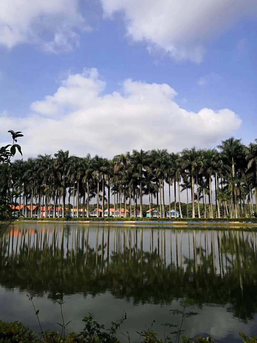 Huilong Manor - Hainan Tourism Documentary No. 15 - iNEWS