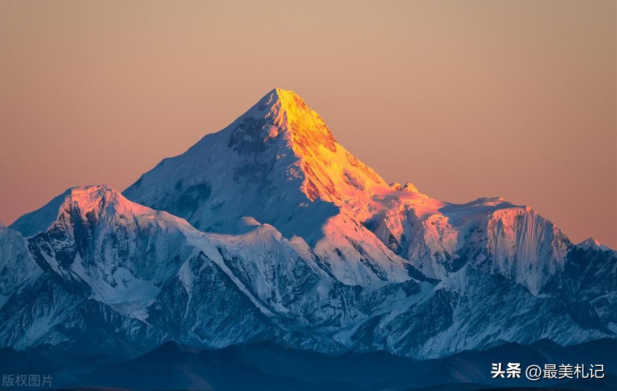 The tenacious melody of life: Yu Hua's "To Live" triggers deep thinking ...