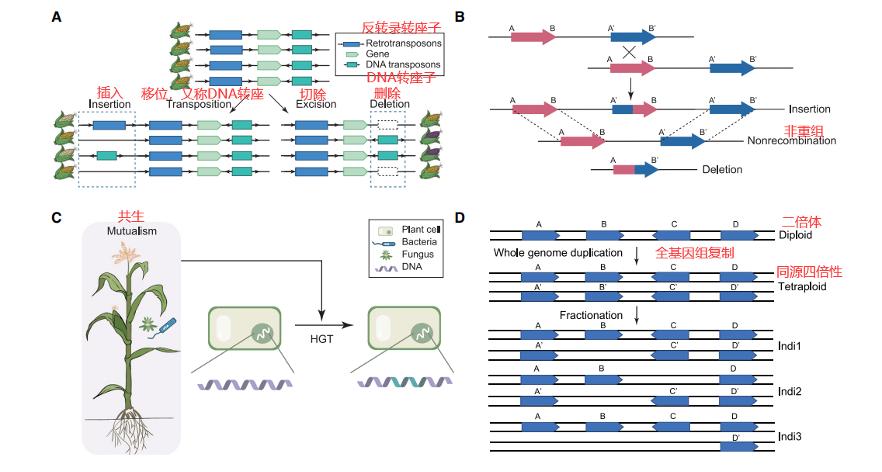 Plant pan-genome and its application - iNEWS