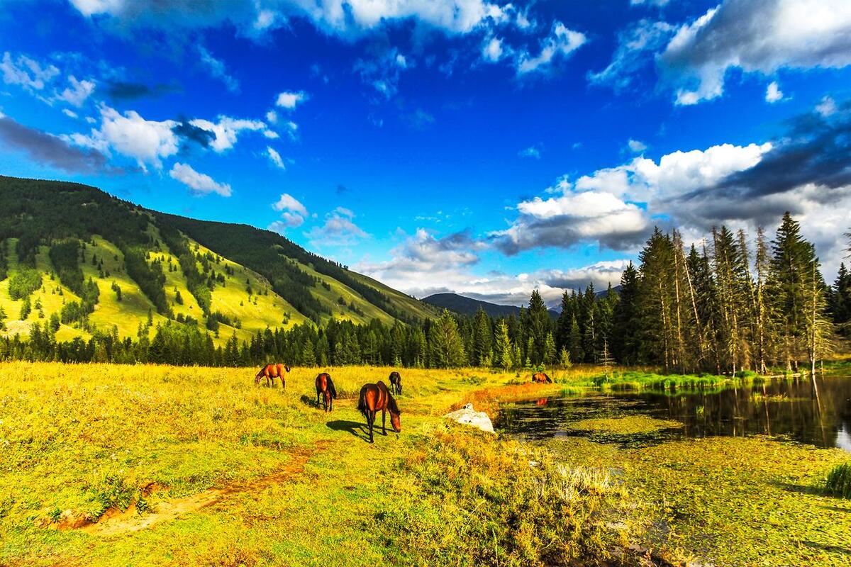 Top Ten Nature Reserves in China - iNEWS