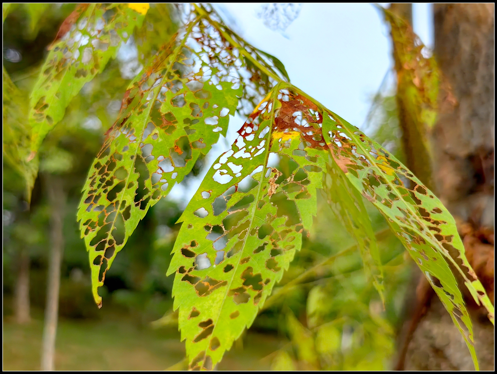 Jie Hu's mind and magnanimity: Don't avoid relatives and enemies when promoting virtuous people ...