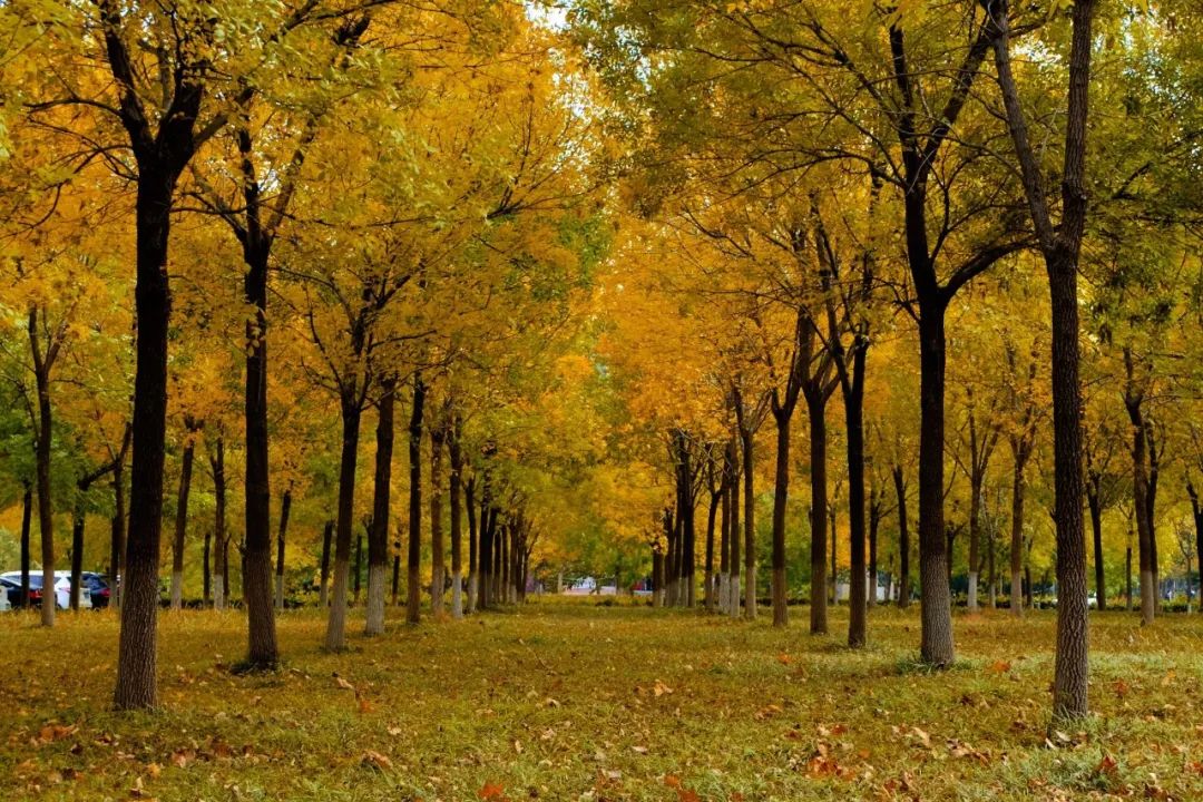 The world is suddenly late, the mountains and rivers are already autumn ...