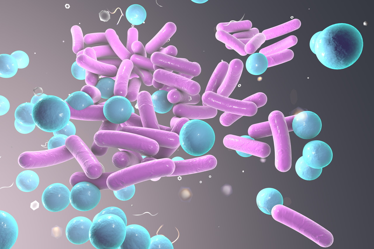 Fecal bacteria transplantation is too extensive, there are 5 tricks for ...