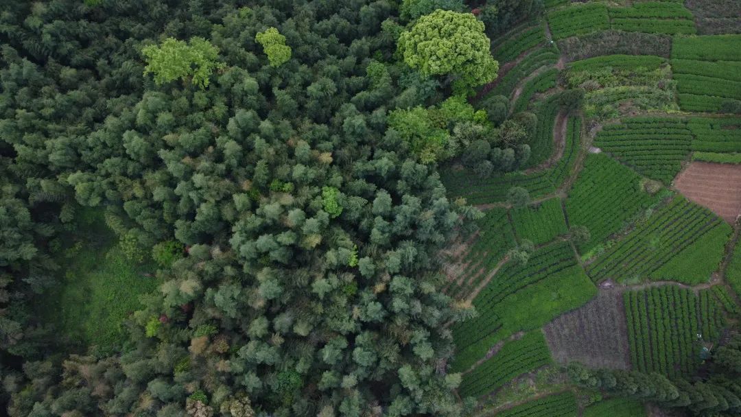 Simple craftsmanship, complex processes, just achieved quality - iNEWS