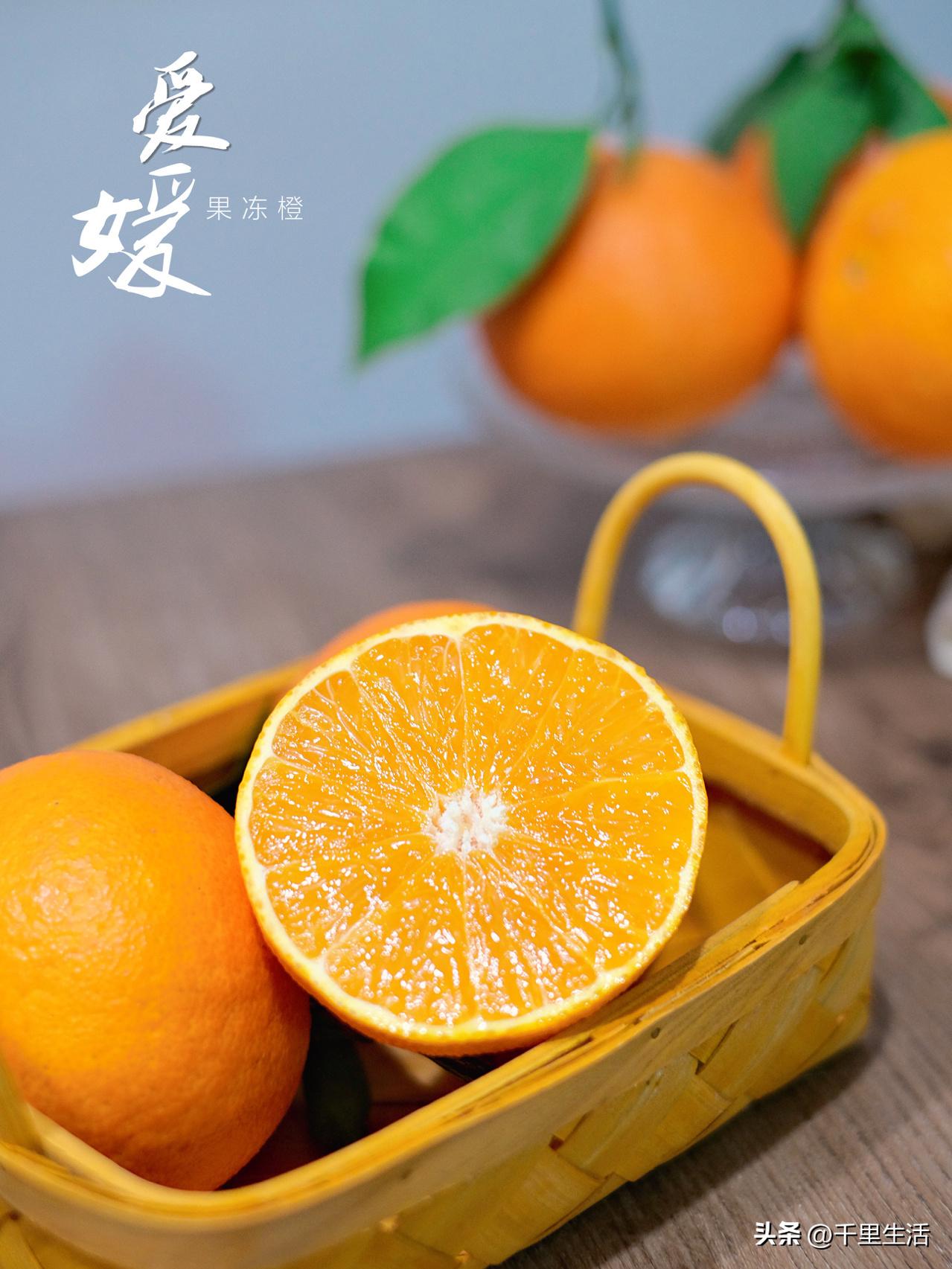 Ehime No. 38 Jelly Orange, a connotative orange queen, is simply the ...