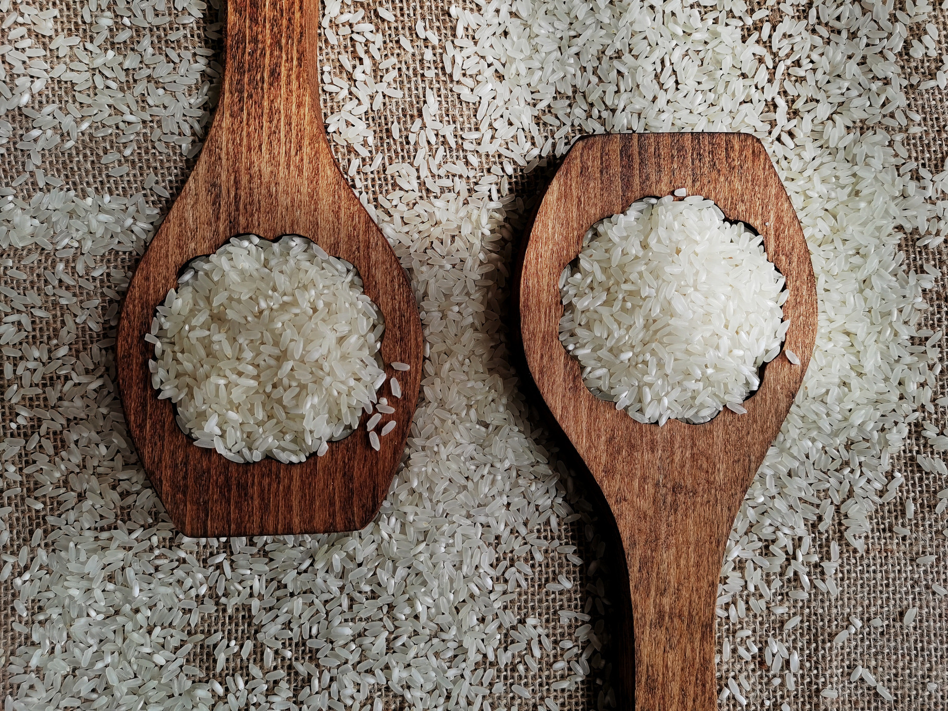 How does a grain of rice become a delicacy? - iNEWS