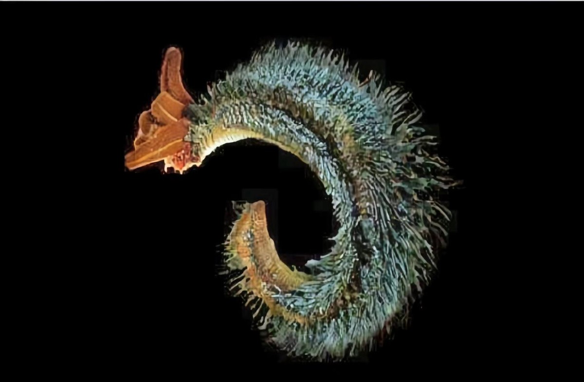 Pompeii worm, the most heat-resistant animal on earth, uses volcanoes ...