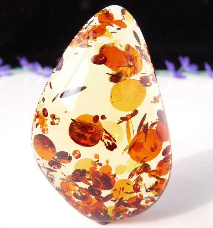 How did amber form 60 million years ago? - iMedia