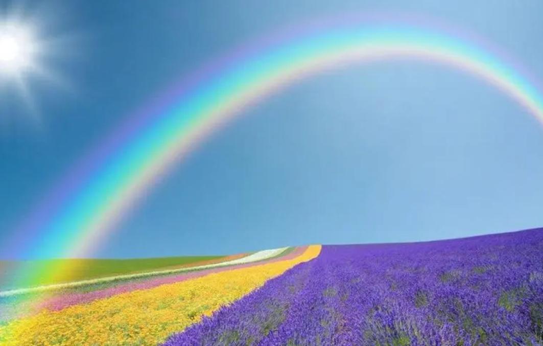 The mystery of the rainbow revealed! Do you know how it is formed? - iNEWS