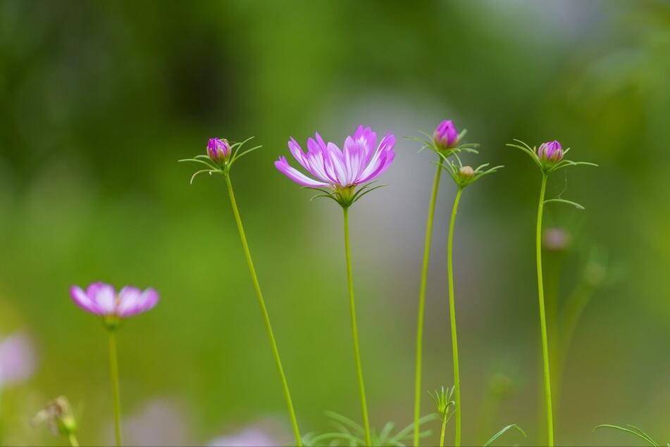 Why is there always an emphasis on contrast in photography? - iNEWS