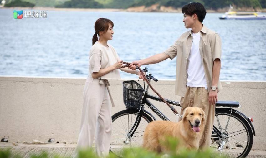 Lin Xiawei starred in TVB's new drama "Love Pet Pet", more than half of ...