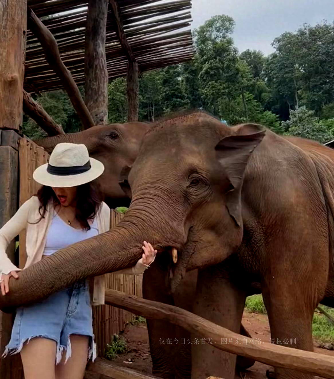 The national first-class actor shows off his life in Thailand and ...