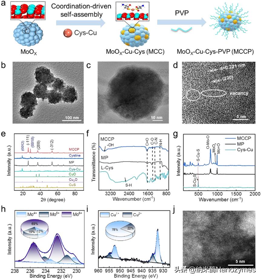 Coordination-driven self-assembly of Cu single-atom nanozymes - iNEWS