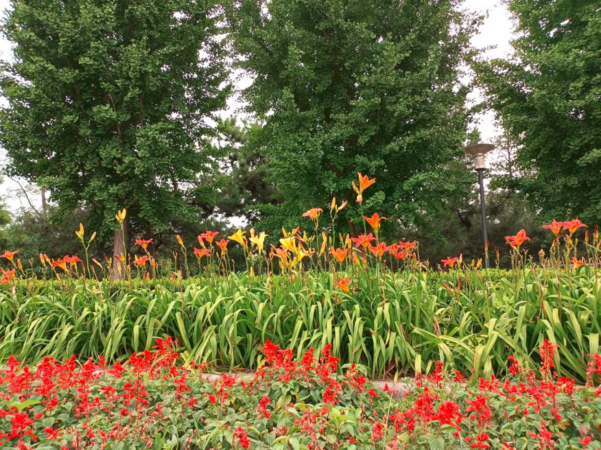 Small changes on World Environment Day - iNEWS