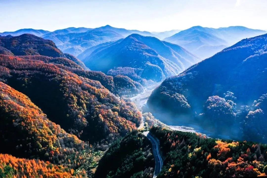 Are you ready?Guyuan, which is full of forests, is about to refresh the ...