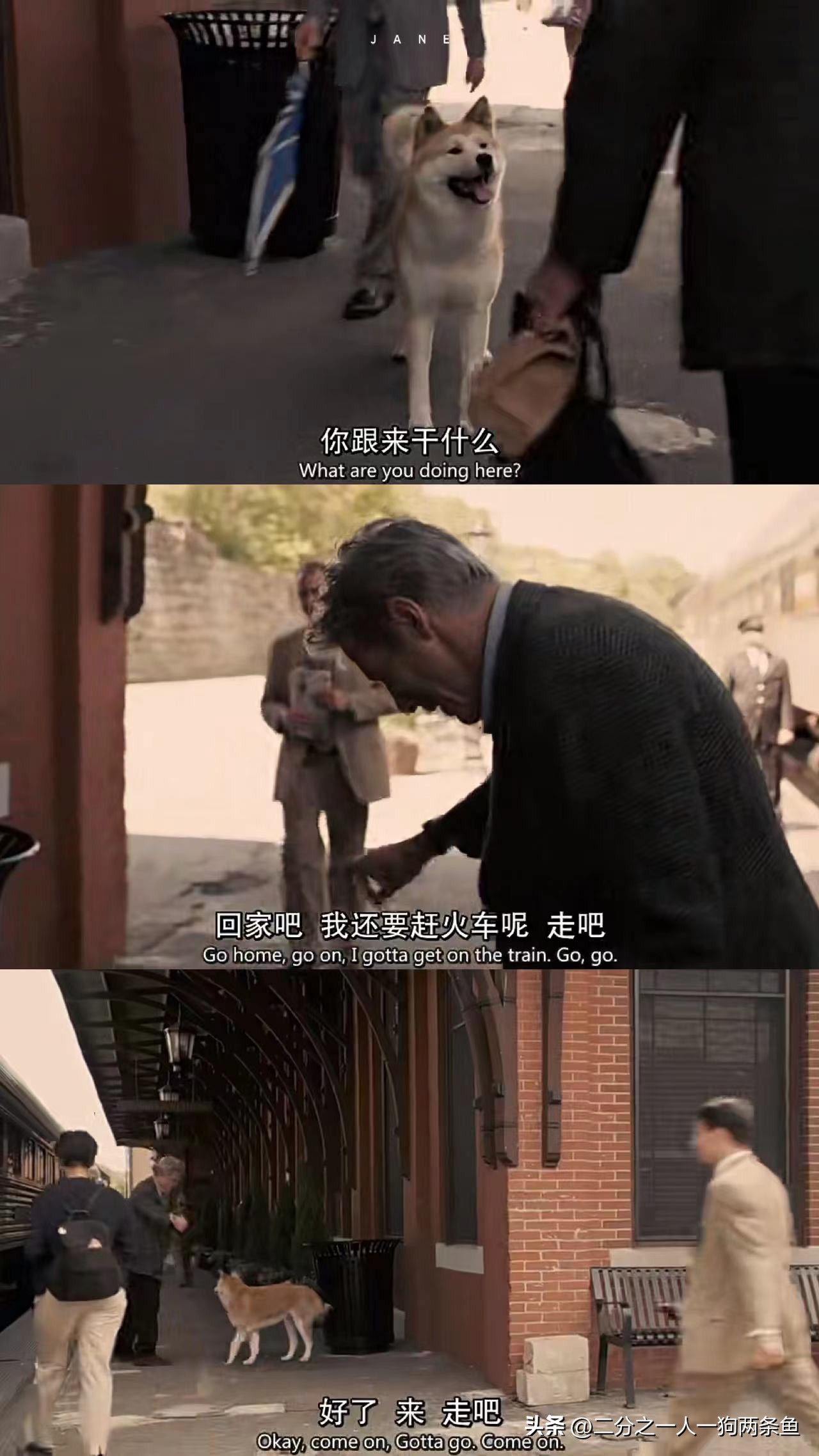"The Story of Hachiko the Faithful Dog" All things have spirits, we ...